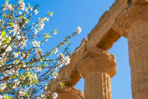 März: Frühlingsbeginn und Mandelblüte ☀ Wetter auf Sizilien